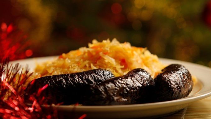 Kempování a cestování v Estonsku – základní informace